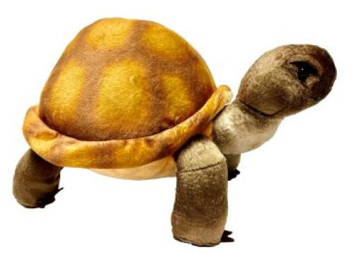 Arizona Historical Society - Stuffed Animals & Plush