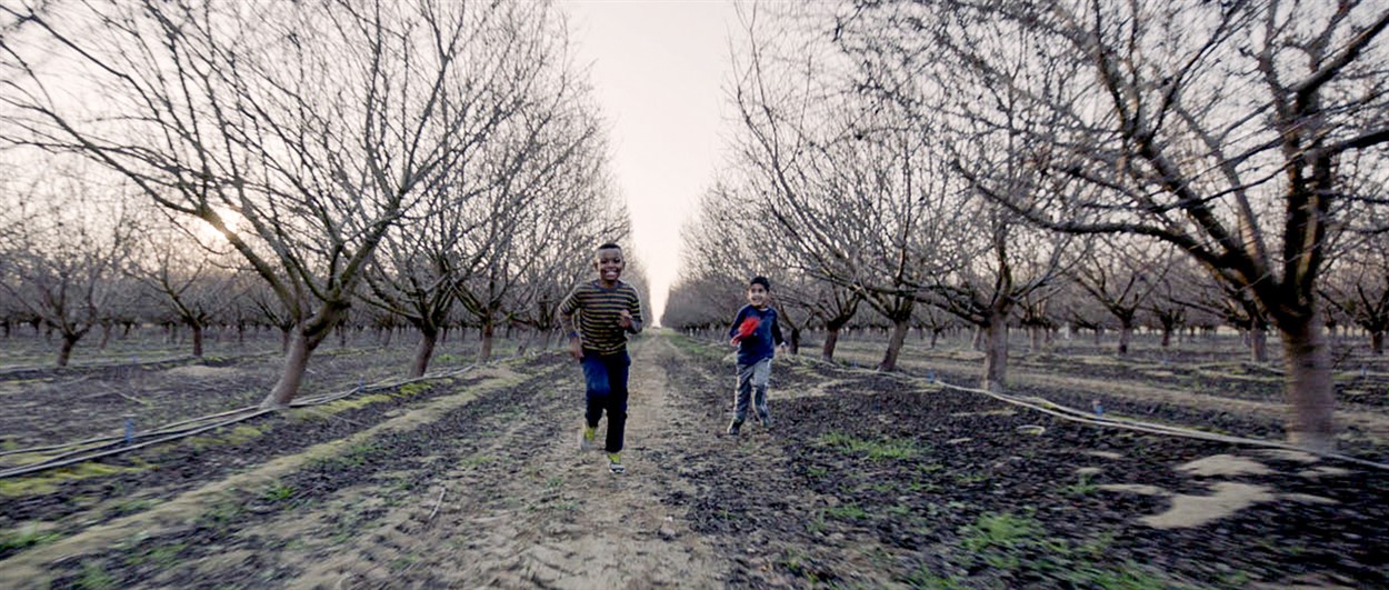 Cinequest - Broken Drawer