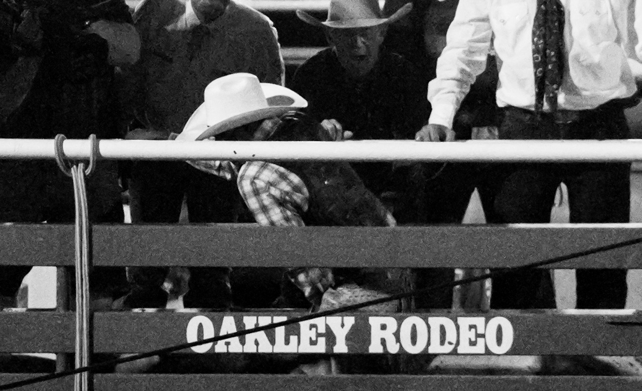 Cinequest - The Bull Rider