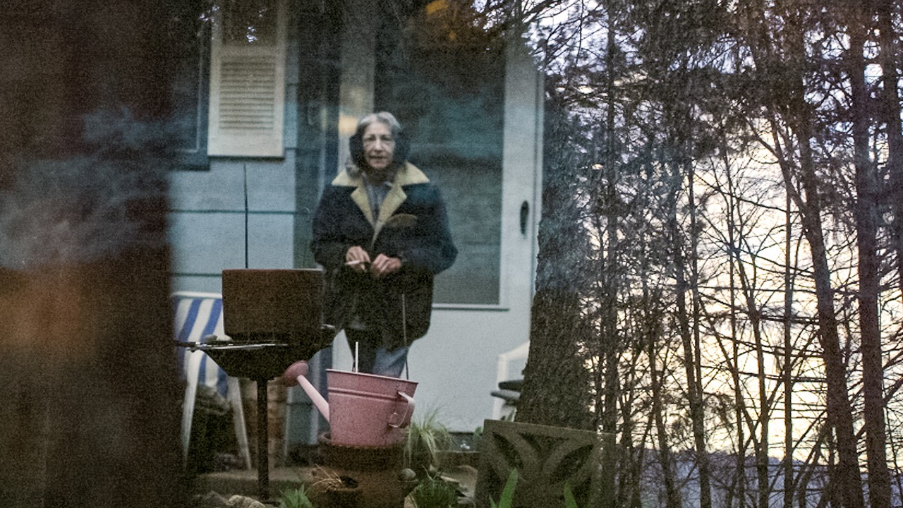 Cinequest - CONSTANT FLEETING