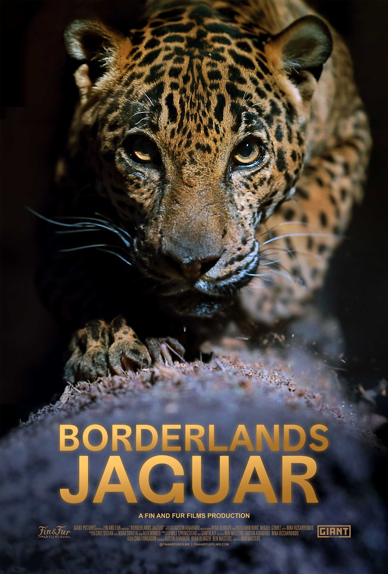 The Loft Cinema - Borderlands Jaguar